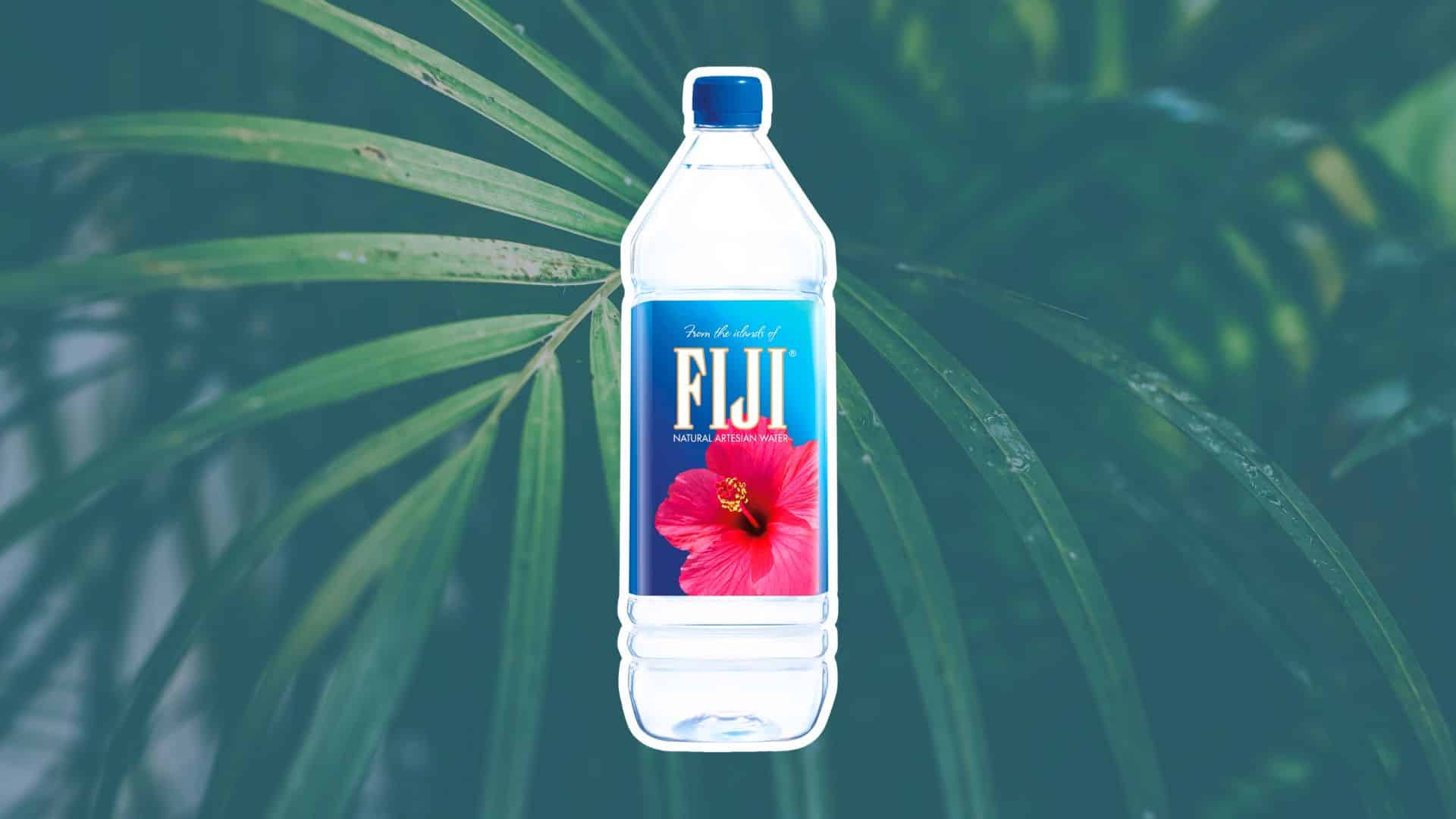 Fiji Water: A Closer Look at its Health Benefits and Risks - Theresa ...