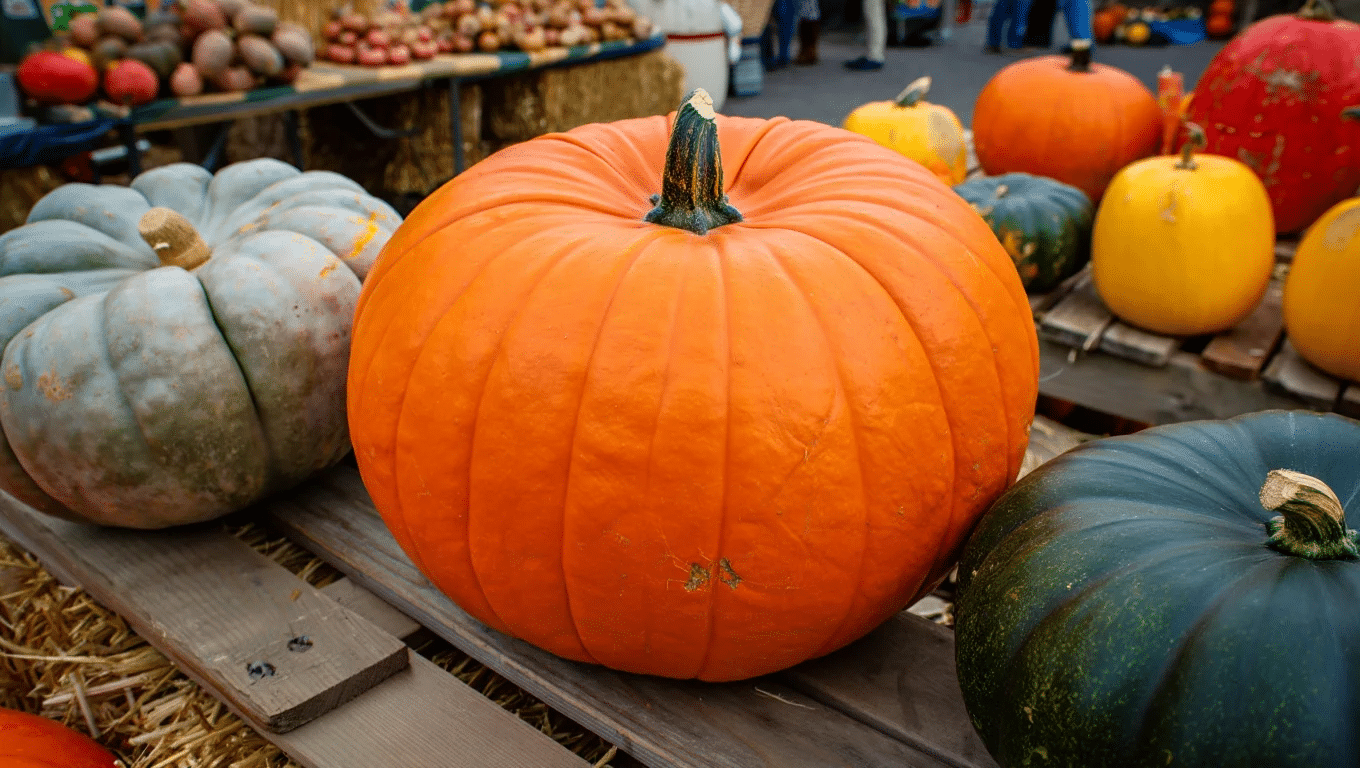 Fun Facts About Pumpkins That Will Amaze You - Theresa Reviews